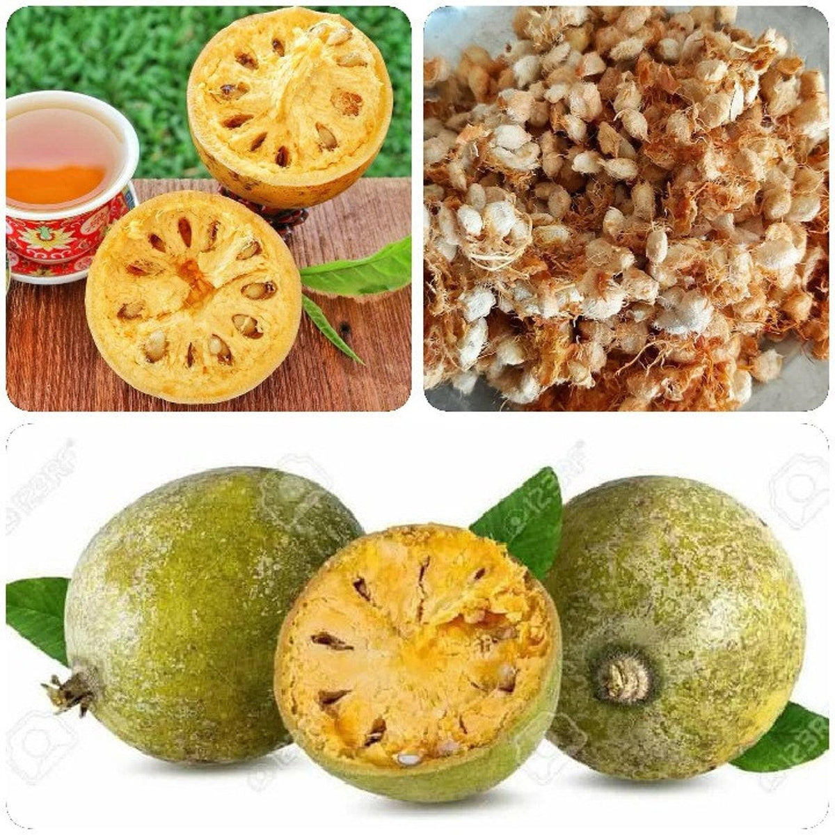 35+ Seeds Of Bael Fruit ,sacred Aegle Marmelos , Bengal Quince , Bilva ...