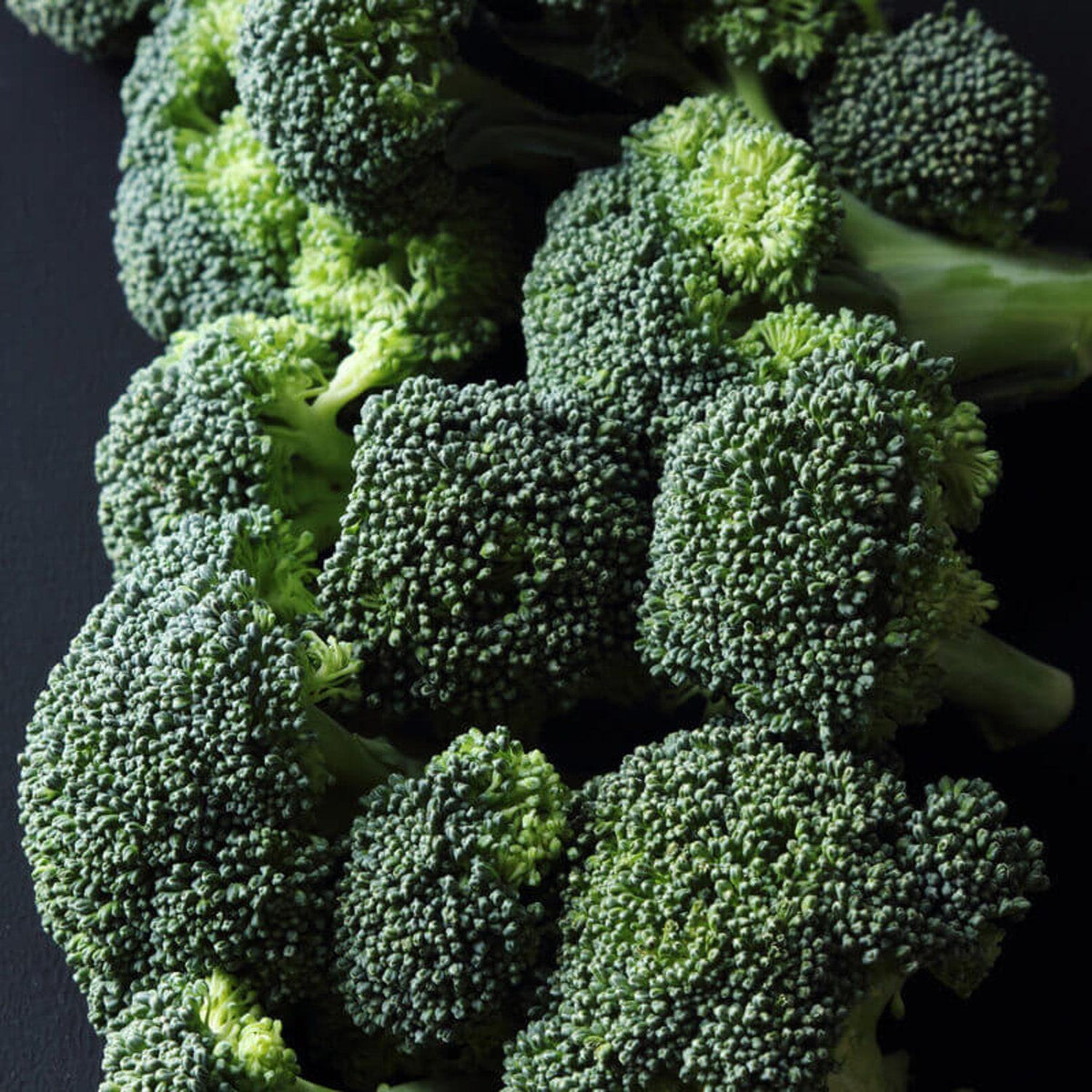 50+ Seeds Calabrese Broccoli Cabbage Seeds, Brassica Oleracea - Perfec ...