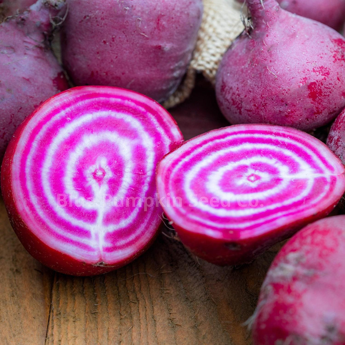 50+ Seeds Chioggia Beet Seeds Candy Stripe Beet, Candy Cane Beet, Stri ...