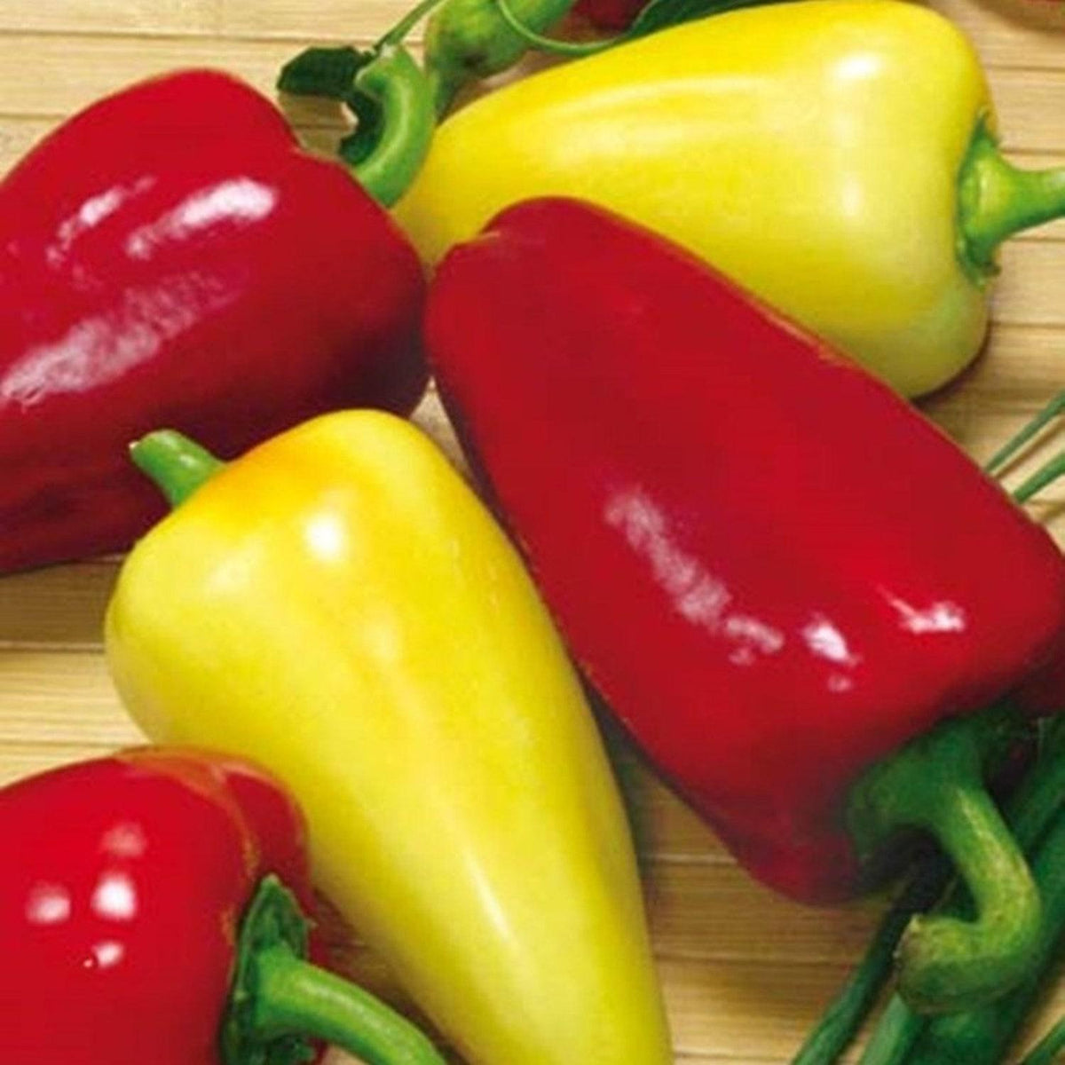 Sweet Pepper Belerka Seeds For Planting 100+ Seeds - Perfect for Plant ...