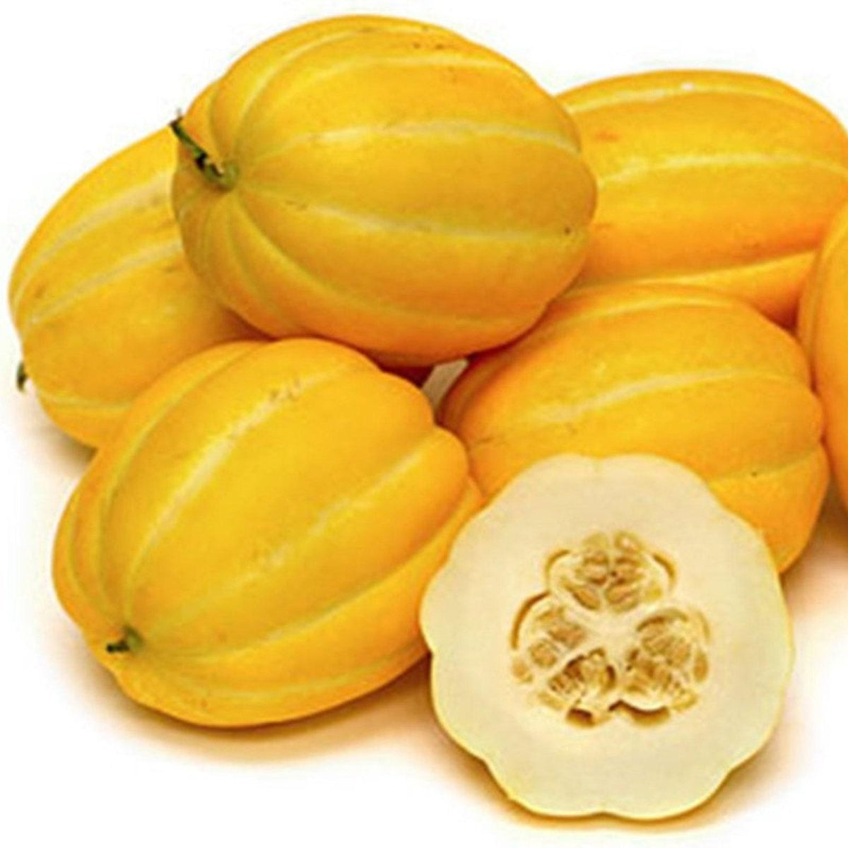 Melon Model Seeds For Planting 100+ Seeds - Perfect for Planting and G ...