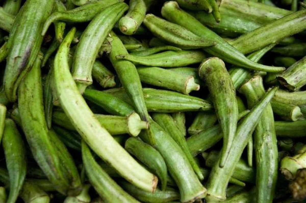 Clemson Spineless Okra Seed Southern Gumbo Garden Vegetable Seeds ( 10 ...