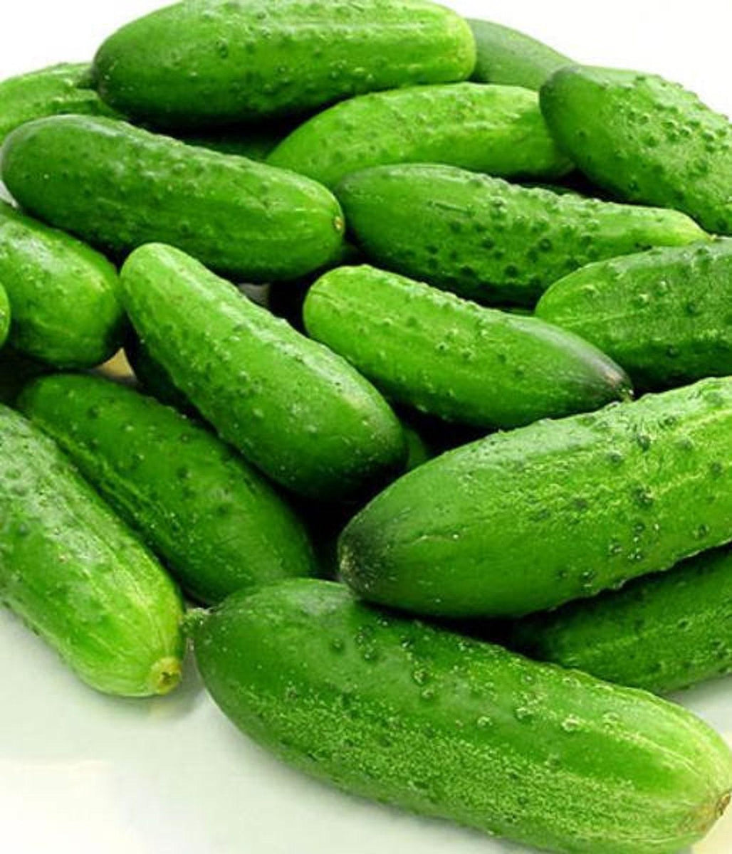 50+ Seeds Cucumber King Beds F1 Early Vegatables Seeds From Ukraine ...
