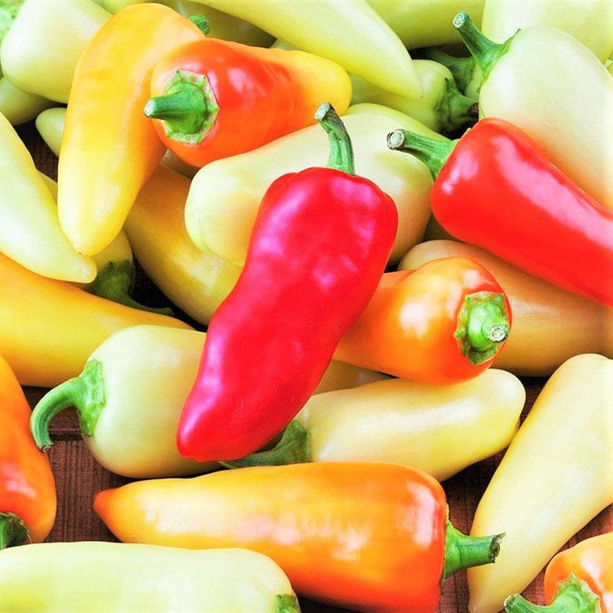 Santa Fe Grande Pepper Seeds Scoville Medium Hot Chili Guero Chile Yel ...