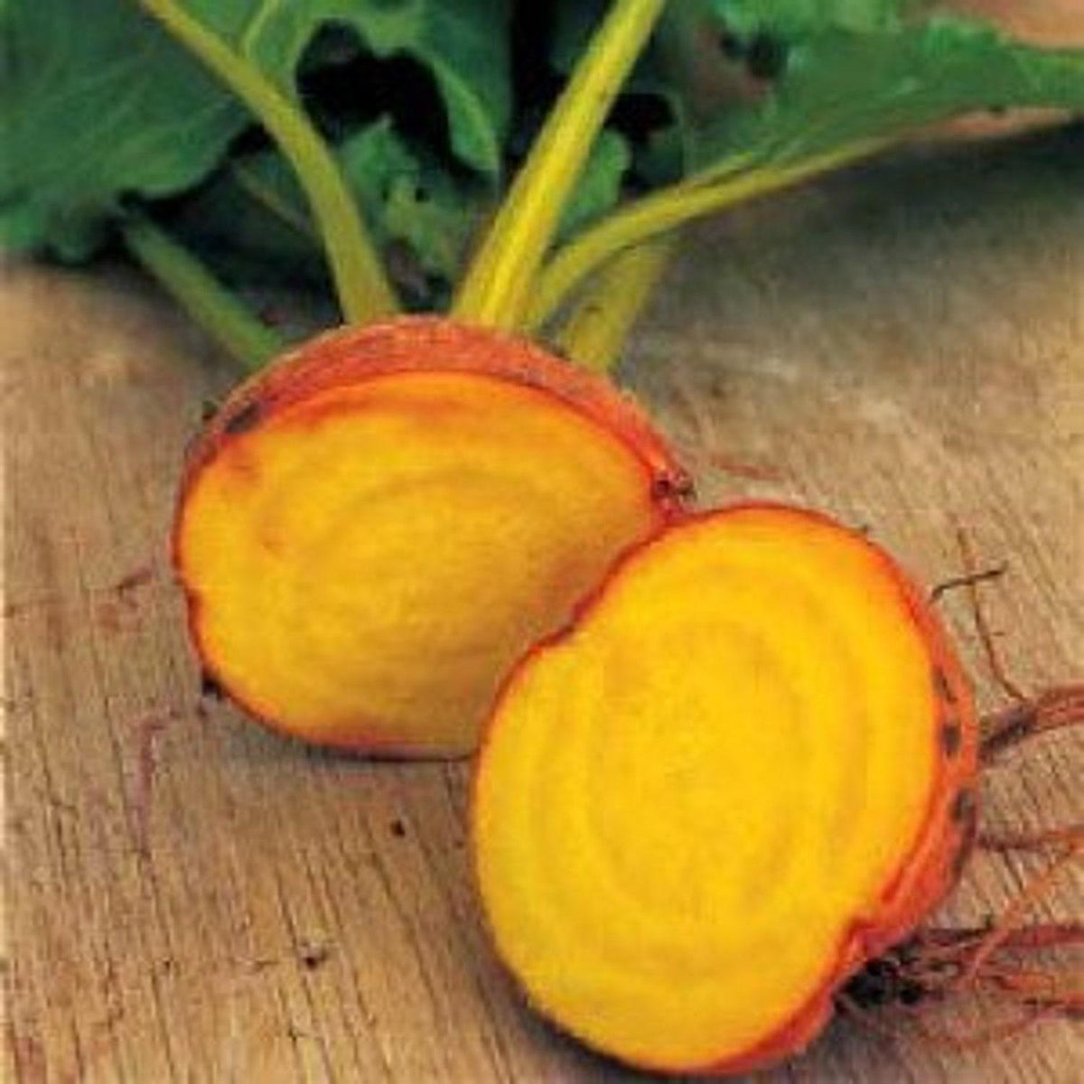 Burpee S Golden Beet 50+ Seeds - Perfect for Planting and Gifting ...