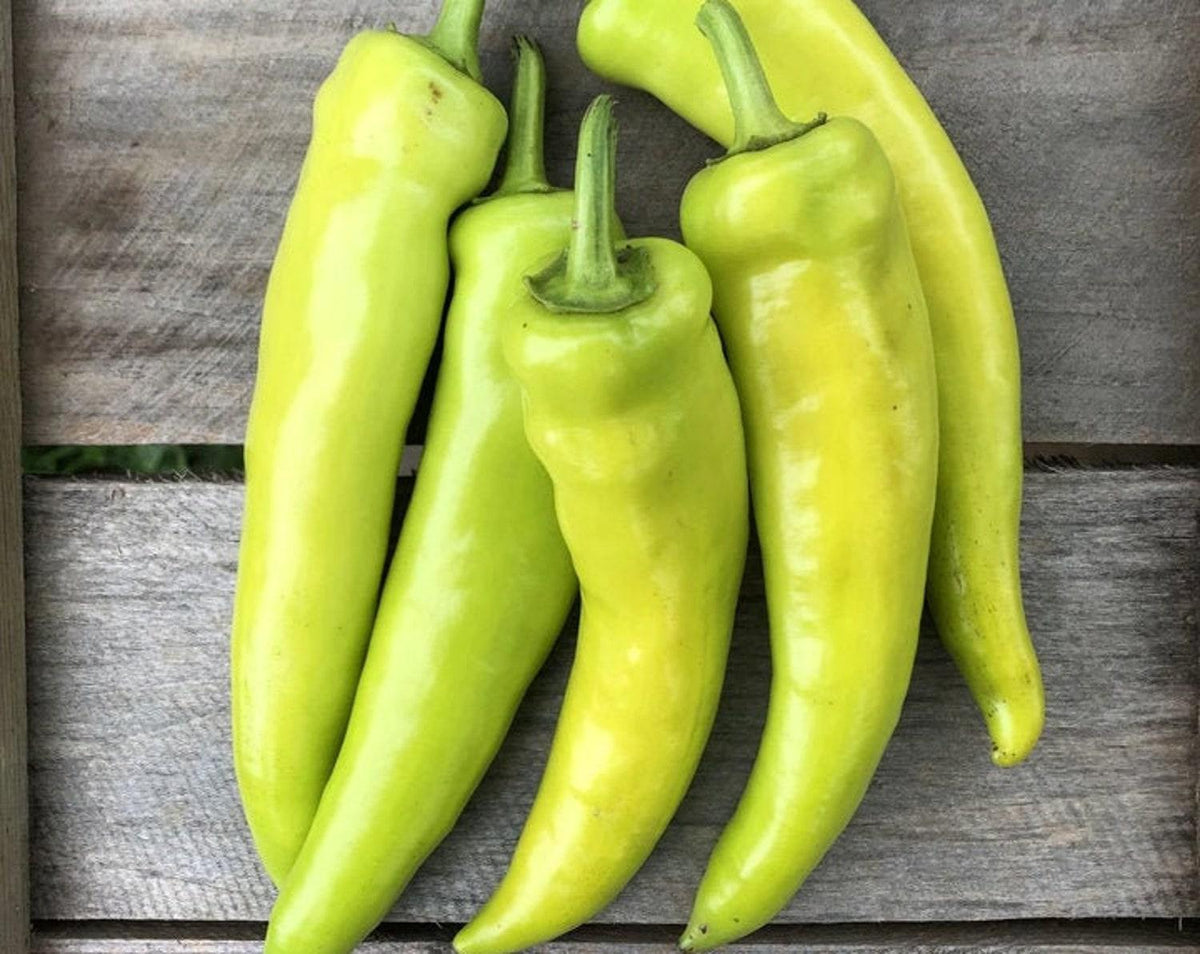 Hungarian Hot Wax Pepper Seeds , Scoville Guero Yellow Chile Chili Ban ...