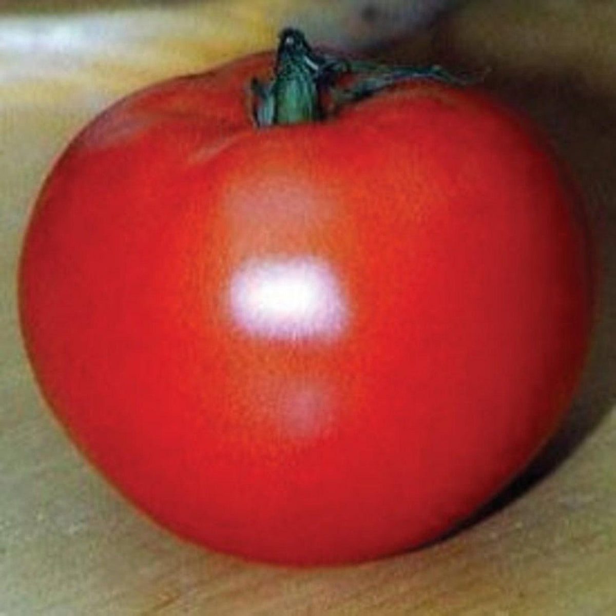 Jet Star Tomato 35+ Seeds Hybrid - Perfect for Planting and Gifting ...