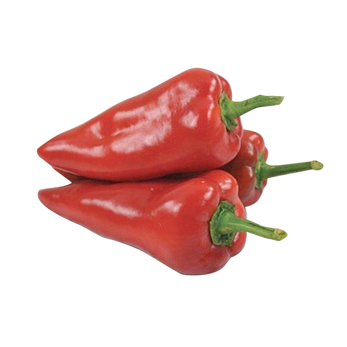 Chervena Chhka Sweet Pepper 35+ Seeds - Perfect for Planting and Gifti ...