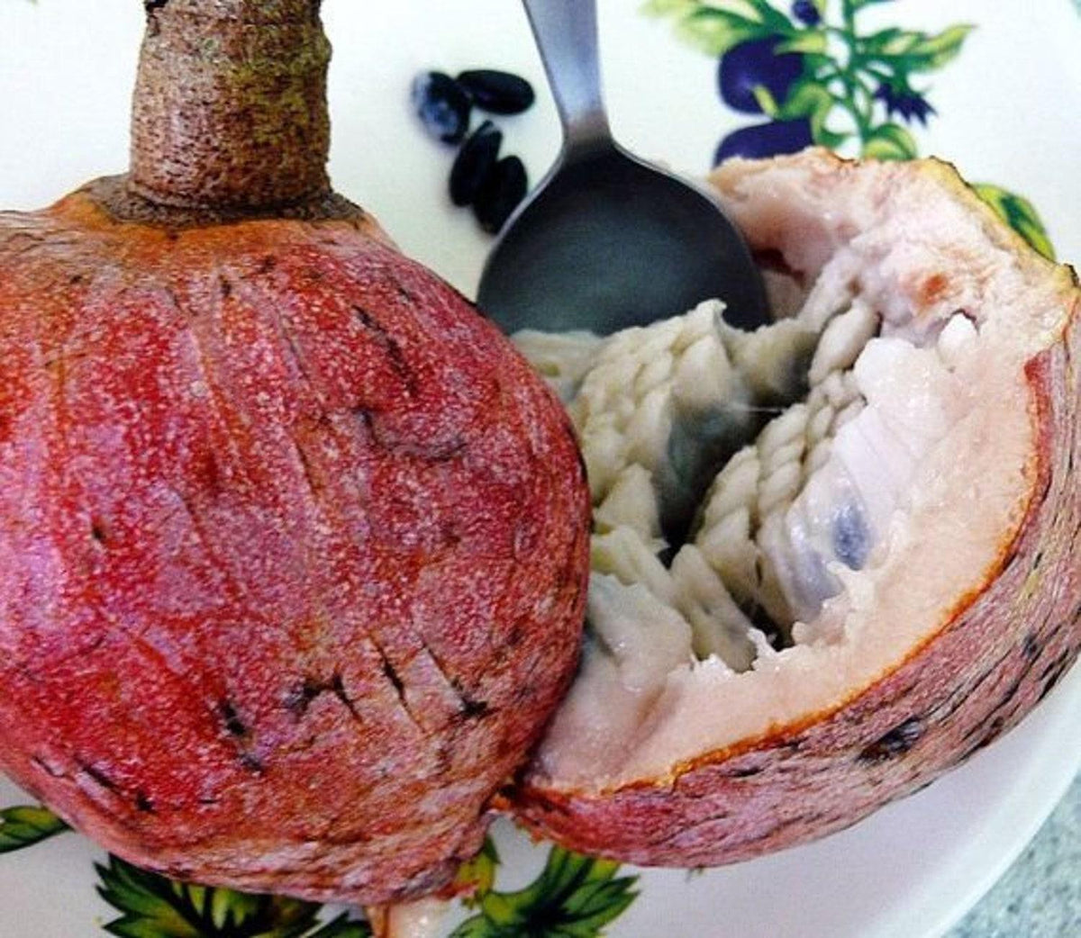 50+ Seeds Ana Reticulata Custard Apple Chirimoya Coraz N Seeds For Pla ...