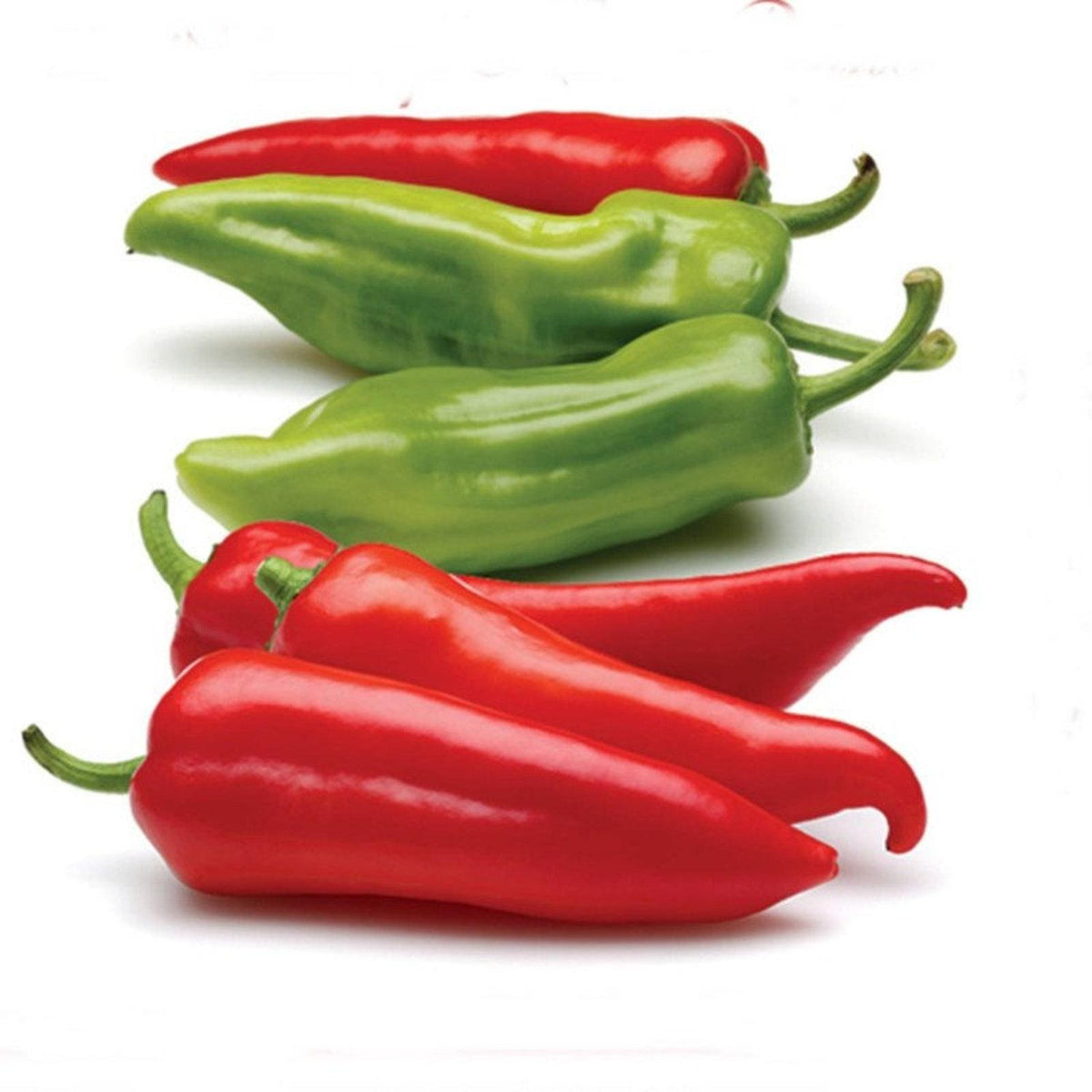 Chili Pepper Matay Seeds For Planting 100+ Seeds - Perfect for Plantin ...