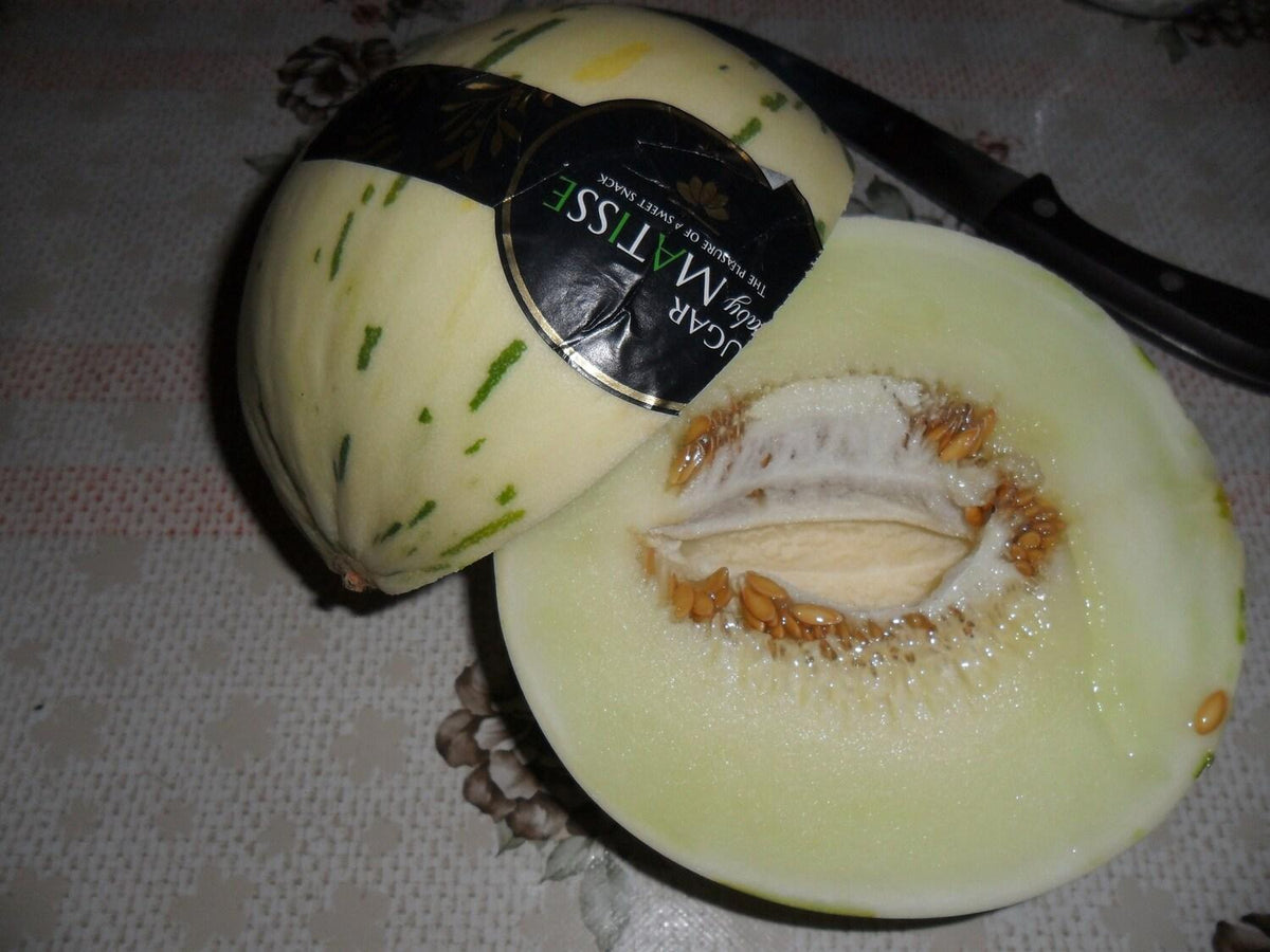 Sweet Melon Sugar Baby Matisse 35+ Seeds Fresh Seeds For Sowing - Perf ...