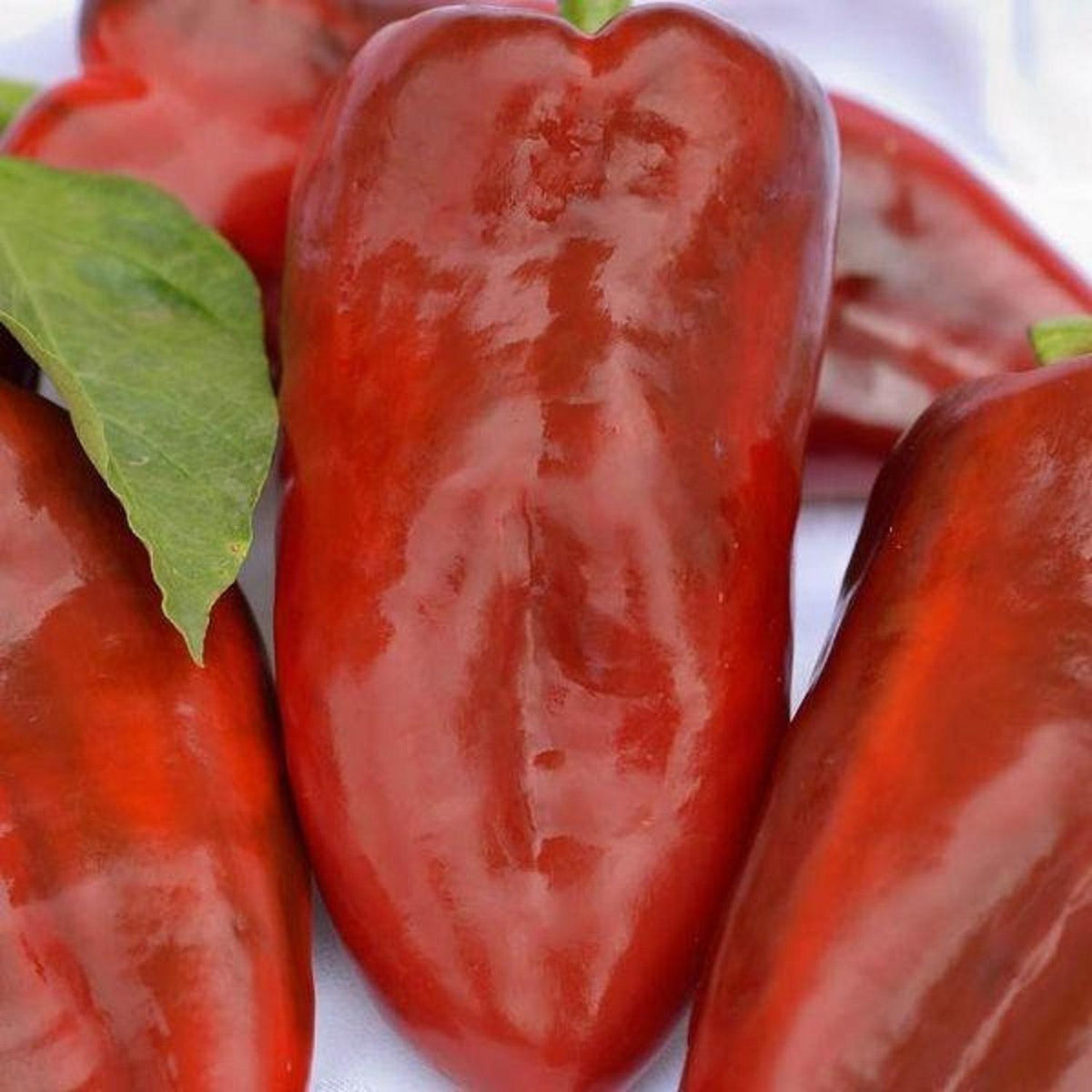Romanian Sweet Pepper, Dumbo 34+ Seeds Sweet Pepper, Romanian Paprika ...