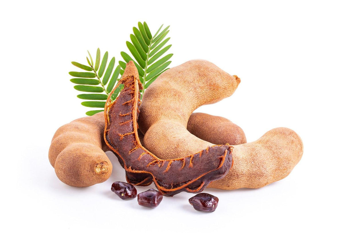 35+ Seeds Tamarind Seeds (tamarindus Indica) Tropical Edible Fruit Tre ...