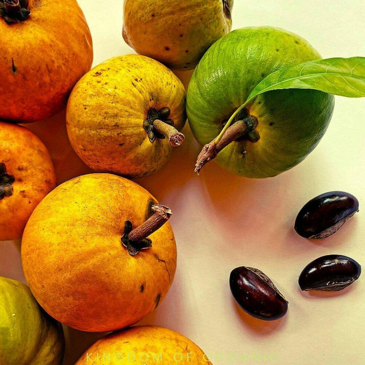 50+ Seeds Egg Fruits, Ceylon Egg Fruit Seeds, Ceylon Laulu Fruit Seeds ...