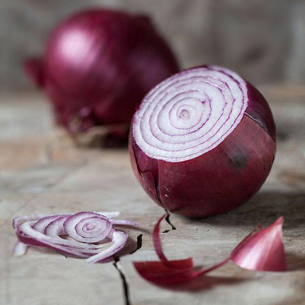 50+ Seeds Red Onion Seeds North Holland Blood Red Onion Vegetable Seed ...