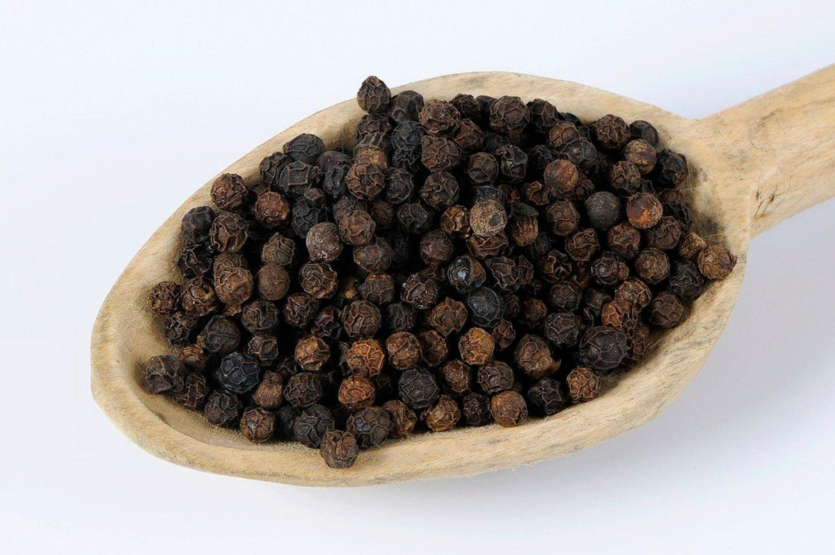 Piper Nigrum Ceylon Black Pepper, Peppercorn, Seeds 35+ Seeds - Perfec ...