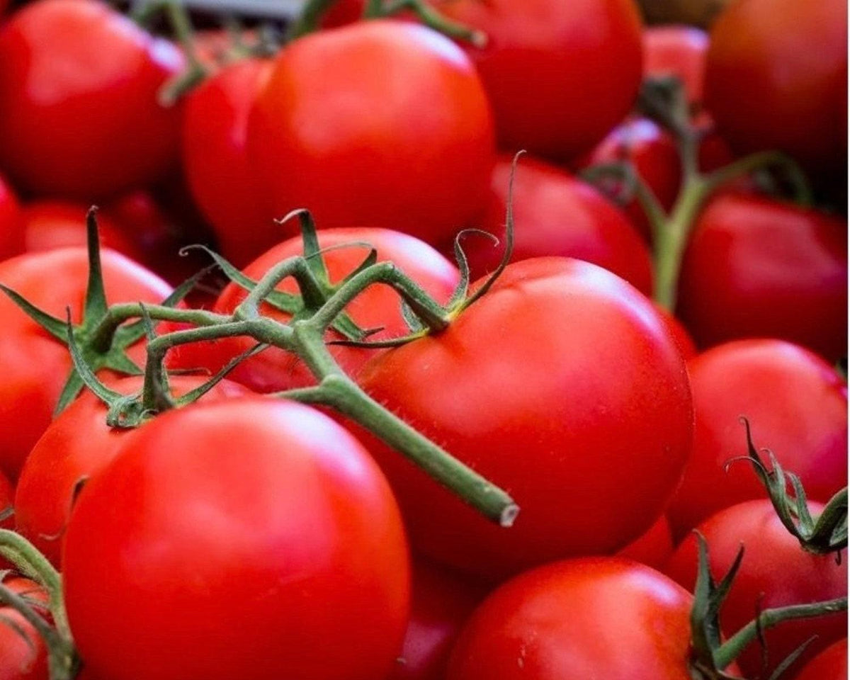 Tomato Pedro F1 Seeds 35+ Seeds Organic Seeds Lycopersicon Esculentum ...