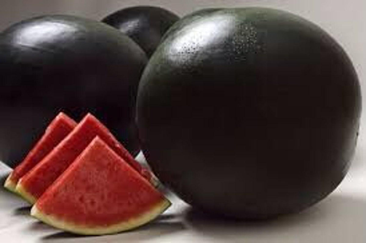 50+ Seeds Black Diamond Watermelon Seed Seeds - Perfect for Planting a ...