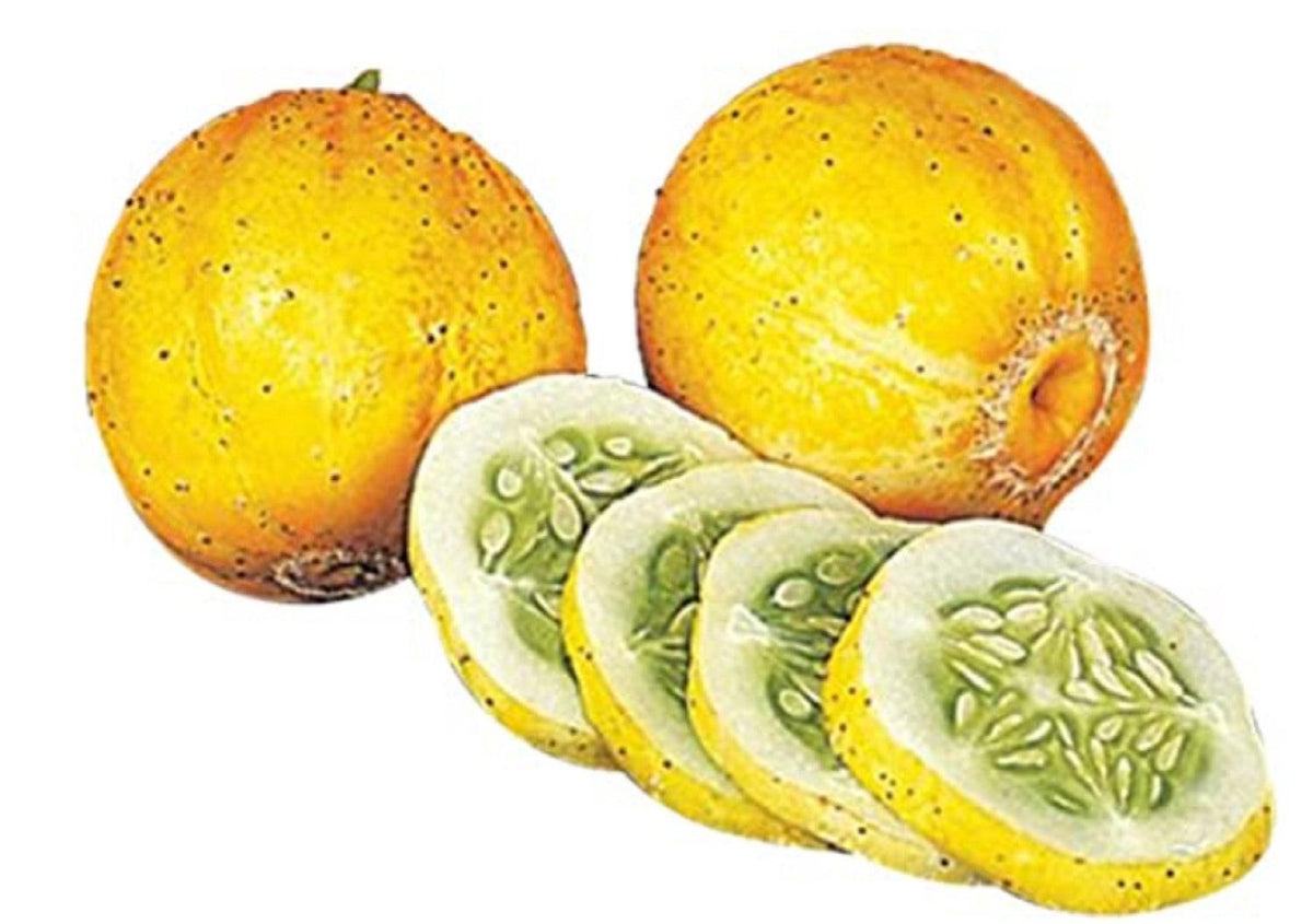 Rare Lemon Cucumber Fruit Tree , Or 30+ Seeds (fruits Are Imeters In L ...
