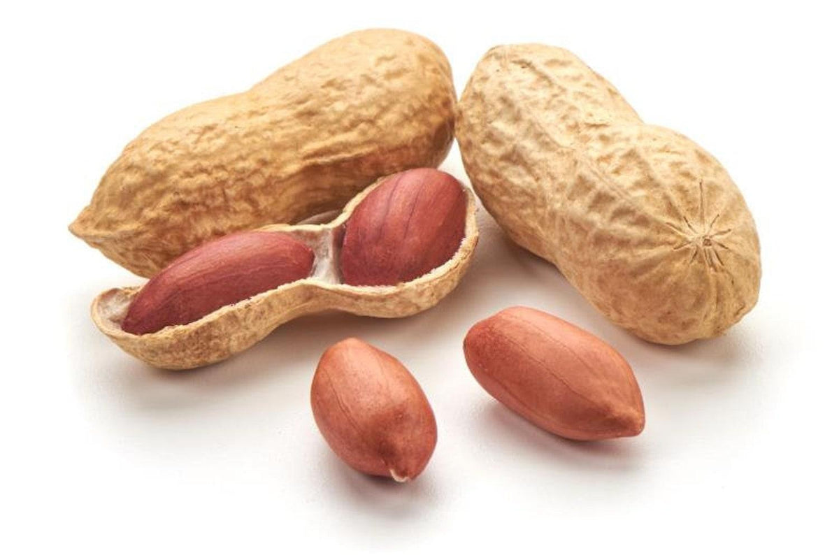 100+ Seeds Peanut Seeds, Organic Peanut Seeds, Seeds, Virginia Peanut ...