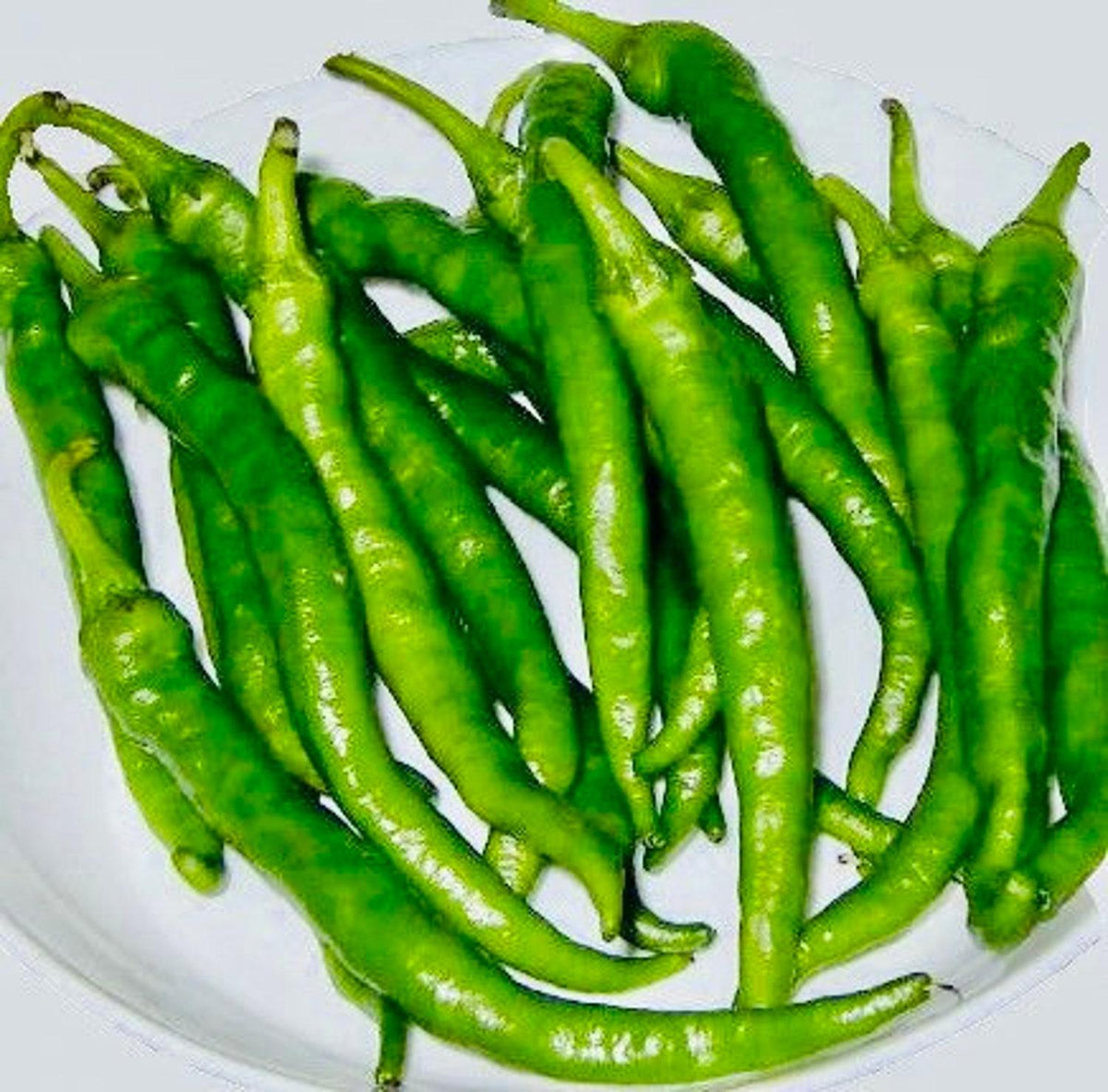 50+ Seeds Fushimi Sweet Pepper Plant Seeds - Perfect for Planting and ...