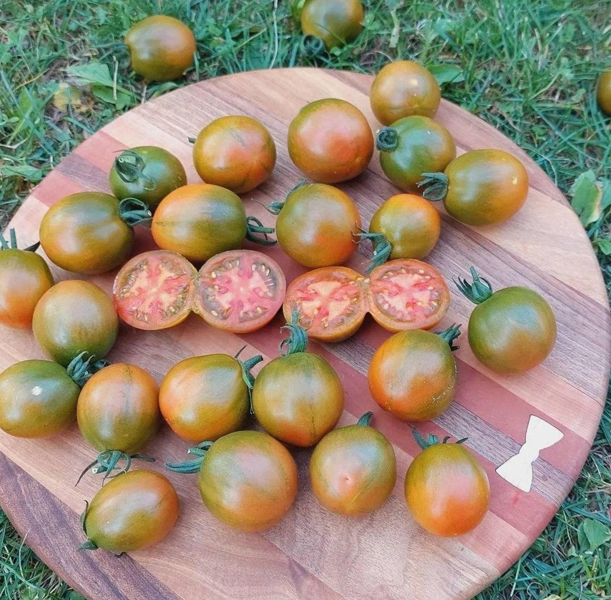 35+ Seeds For Planting Gardening Evil Oseeds Tomato Good For Making Am ...