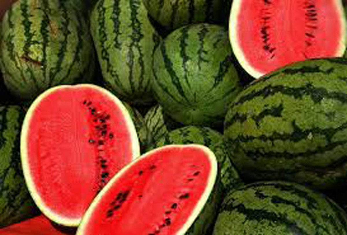 50+ Seeds Organic Watermelon Seed Oil Cold Pressed Unrefined, Facial B ...