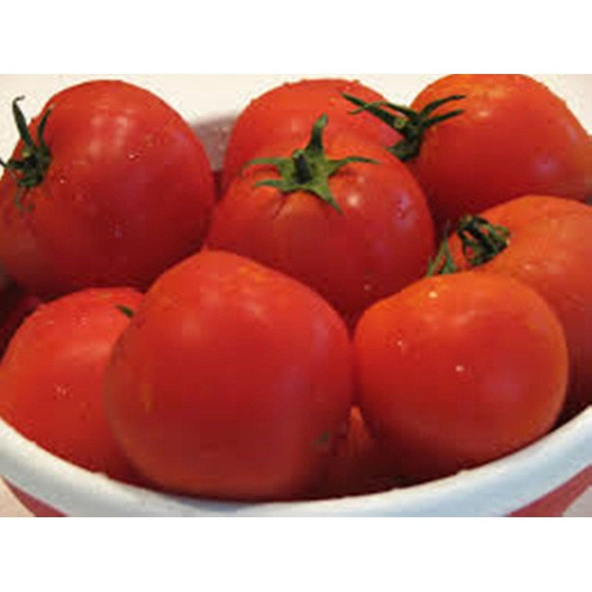 Tomato Sanka Seeds For Planting 100+ Seeds - Perfect for Planting and ...