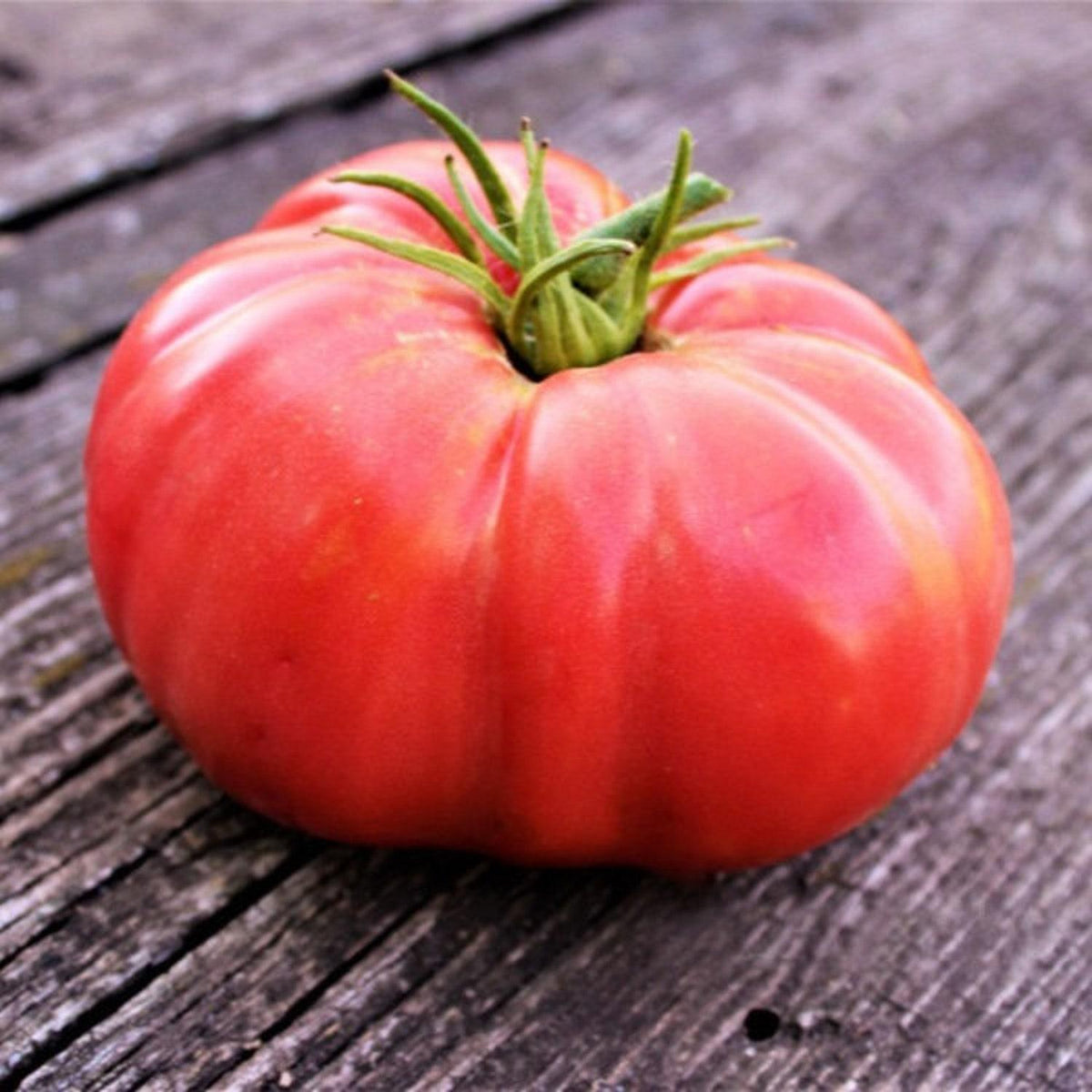 50+ Seeds Rare Vegetable Seeds Pink Tomato Malynove Vikante Raspberry ...