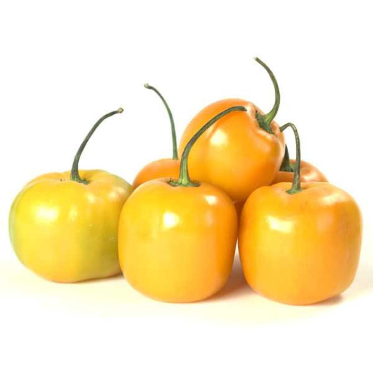 50+ Seeds Manzano Yellow Pepper Seeds - Perfect for Planting and Gifti ...