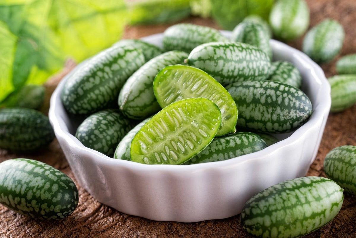 50+ Seeds Mouse Melon Seeds Cucamelon, Sour Gherkin Tiny Melons - Perf ...